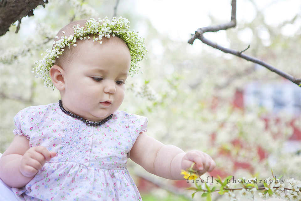 spring blooms, part 4 | NH child photographer | Firefly Photography